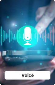 Business Verification API | OTP Verification API | Verify API